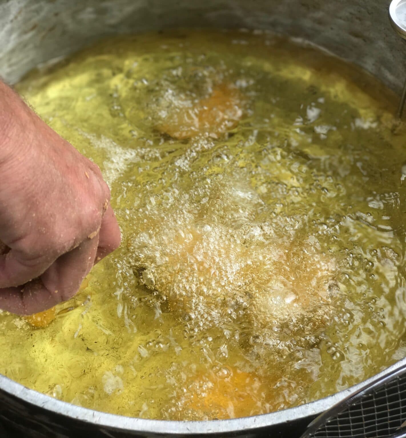 The Best Fried Fish Recipe - Living in Normal