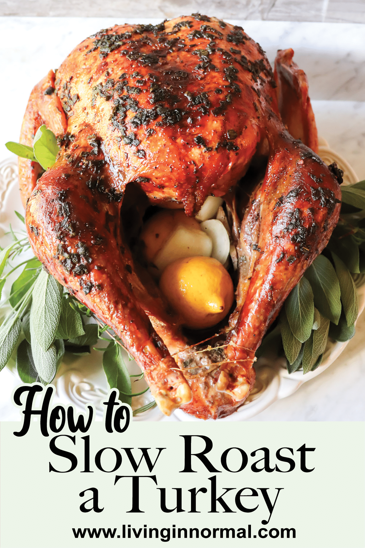 How to Slow Roast a Turkey - Living in Normal